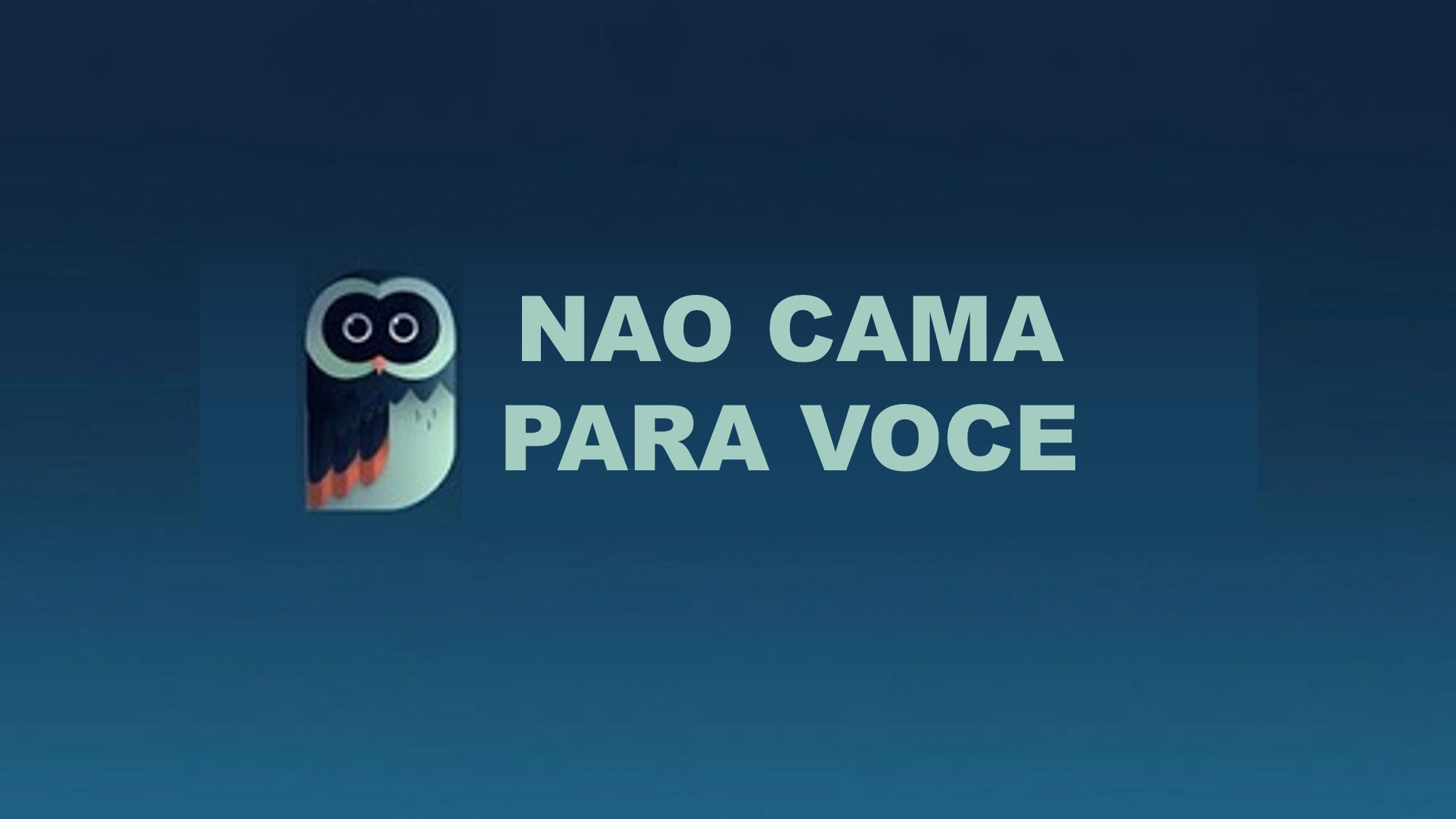 PROGRAMMING ON REDE TOMCAT/2019 | Cat Comedian Television Fanon Wiki ...