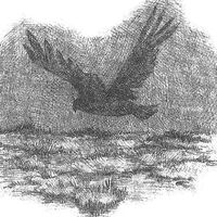 Sircolo | Redwall Wiki | Fandom