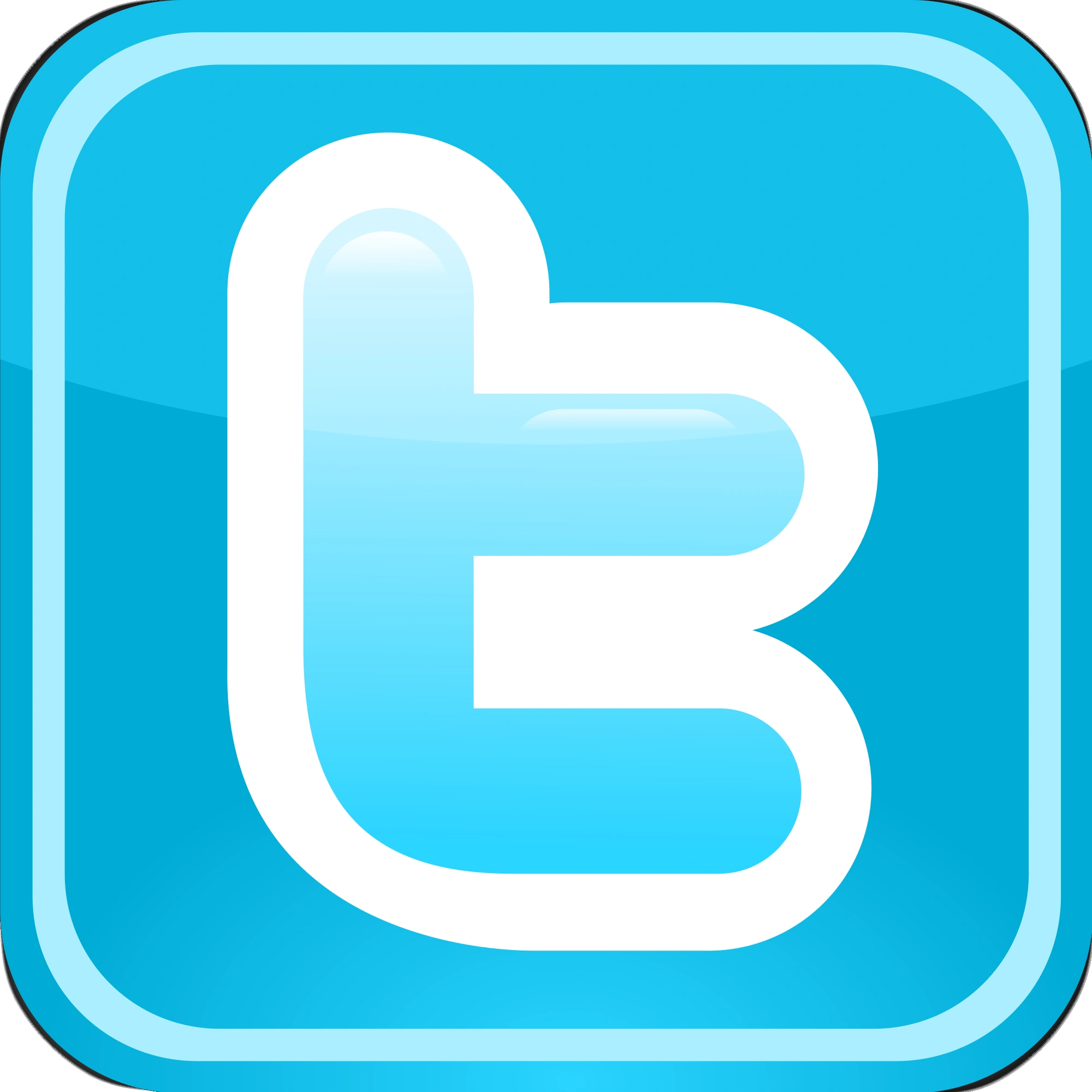 Imagen - Twitter logo.png | Wiki Reino Animalia | FANDOM powered by Wikia