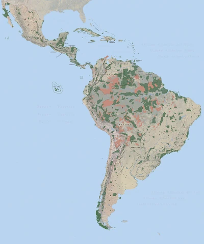 Neotrópico | Wiki Reino Animalia | Fandom