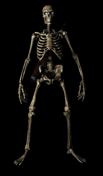 Stalfos | Relics of Hyrule Wikia | Fandom