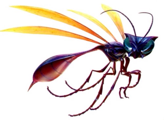 Wasp | Remix Favorite Show and Game Wiki | Fandom Wasp | Remix Favorite Show and Game Wiki | Fandom