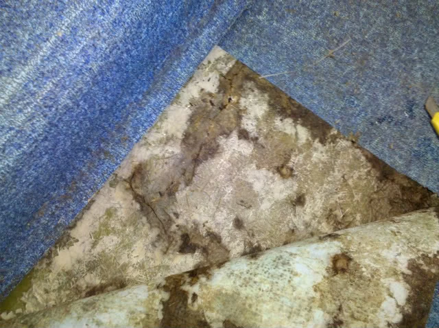 Vinyl Flooring Defects | Renopedia Wiki | Fandom