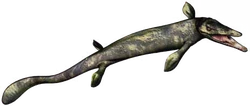 Mosasaur | Reptipedia | Fandom