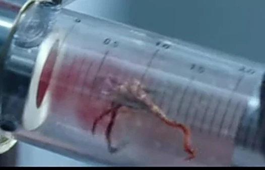 Las Plagas | Resident Evil Wiki | Fandom