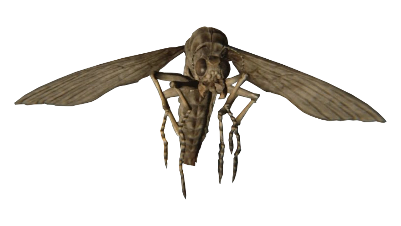 Man-eating insect (adult) | Resident Evil Wiki | FANDOM powered by Wikia