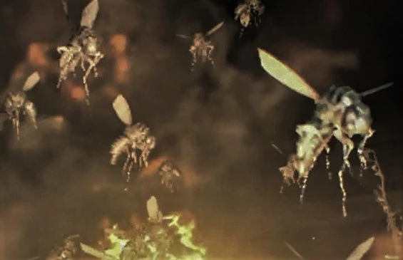 Man-eating insect (young) | Resident Evil Wiki | FANDOM powered by Wikia