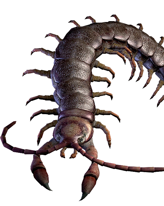 Centurion | Resident Evil Wiki | Fandom