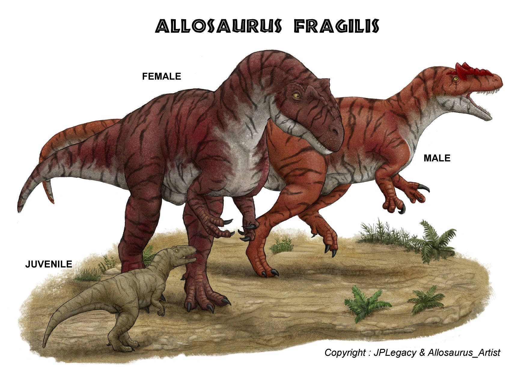 Allosaurus fragilis | Return to New Lands Wikia | FANDOM powered by Wikia