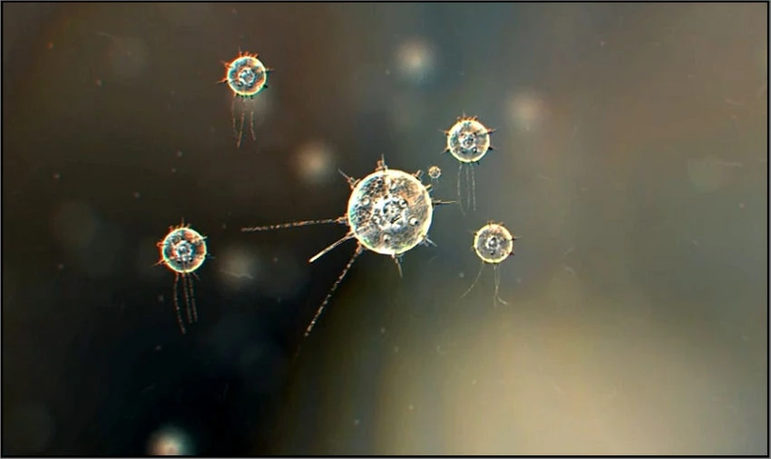 Nanites | Revolution Wiki | FANDOM powered by Wikia