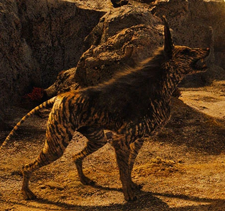 Riddick's Jackal | Riddick Wiki | FANDOM powered by Wikia