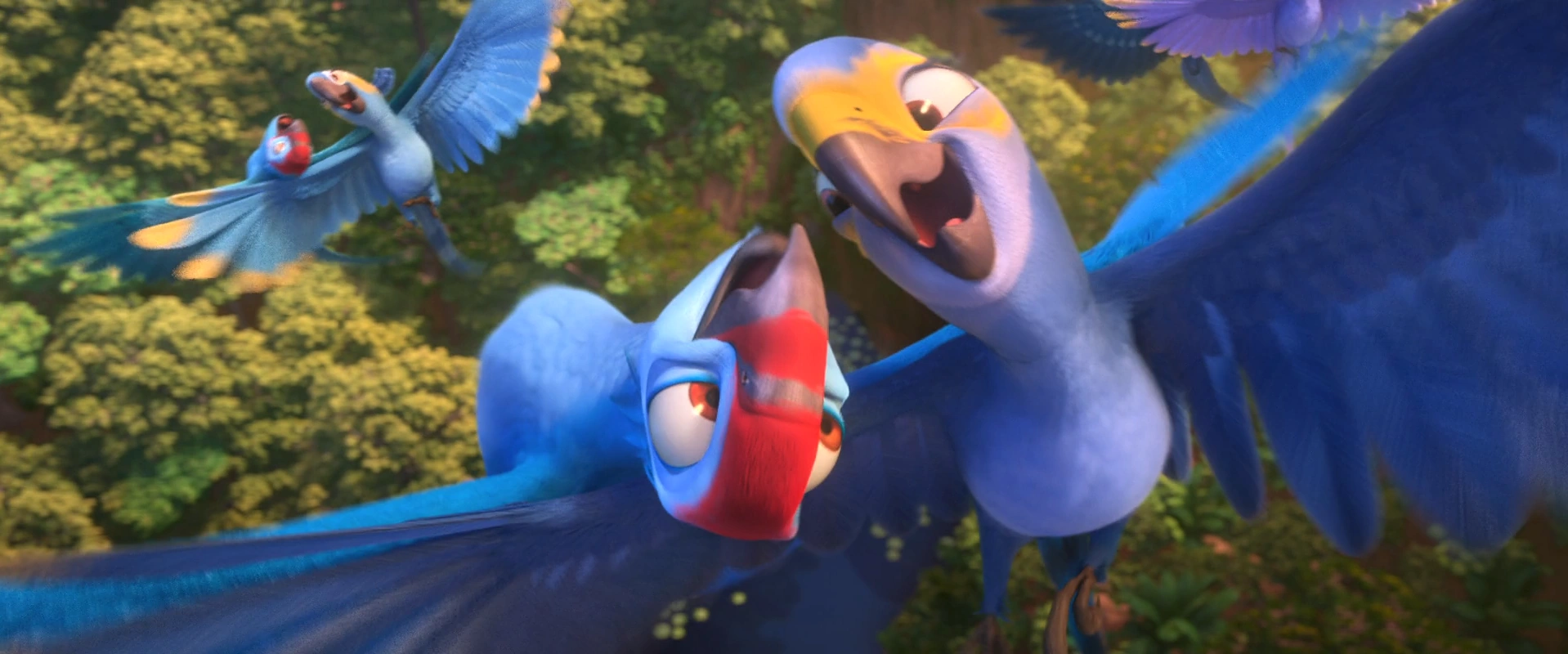 User blog:Sorrelflower/'Beautiful Creatures' clip | Rio Wiki | Fandom