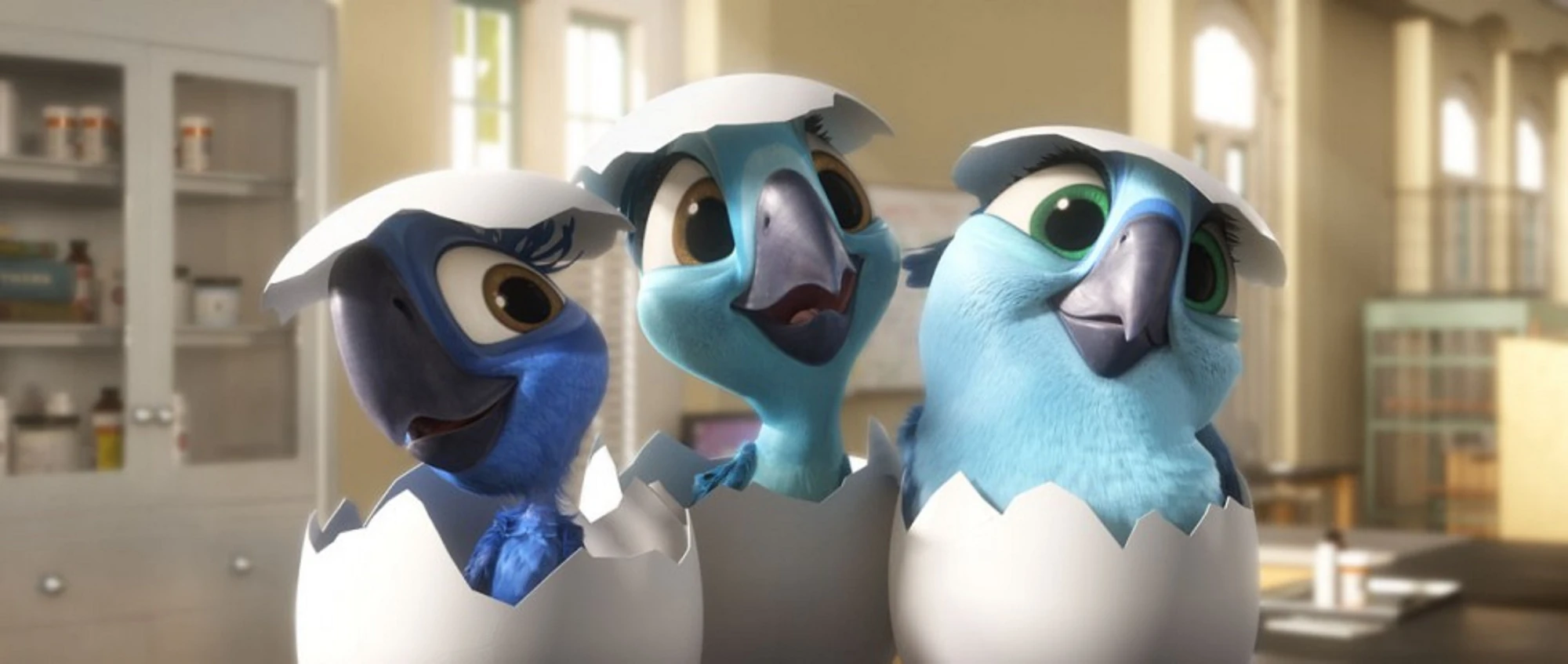 Obraz - Rio 2 Tiago, Bia, Carla.jpg | Rio Wiki | FANDOM powered by Wikia
