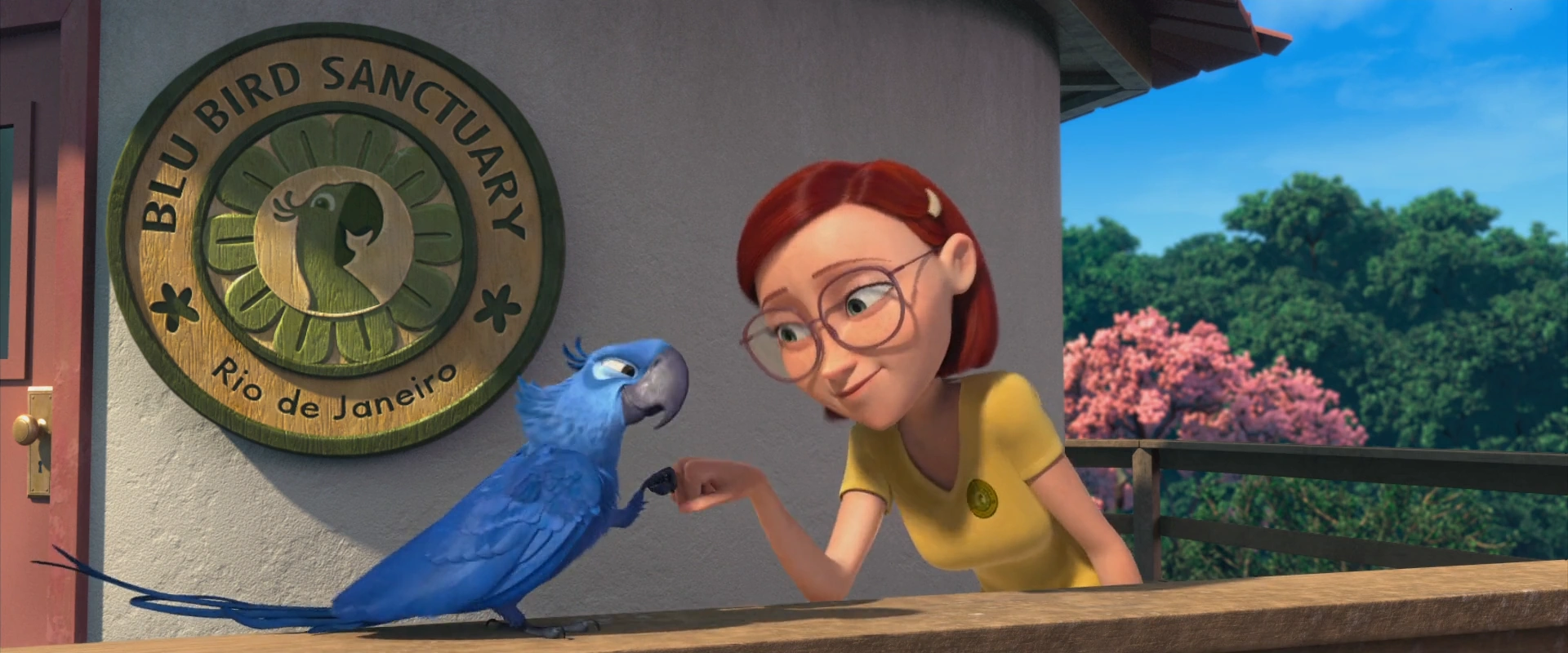 Blu/Gallery | Rio Wiki | FANDOM powered by Wikia