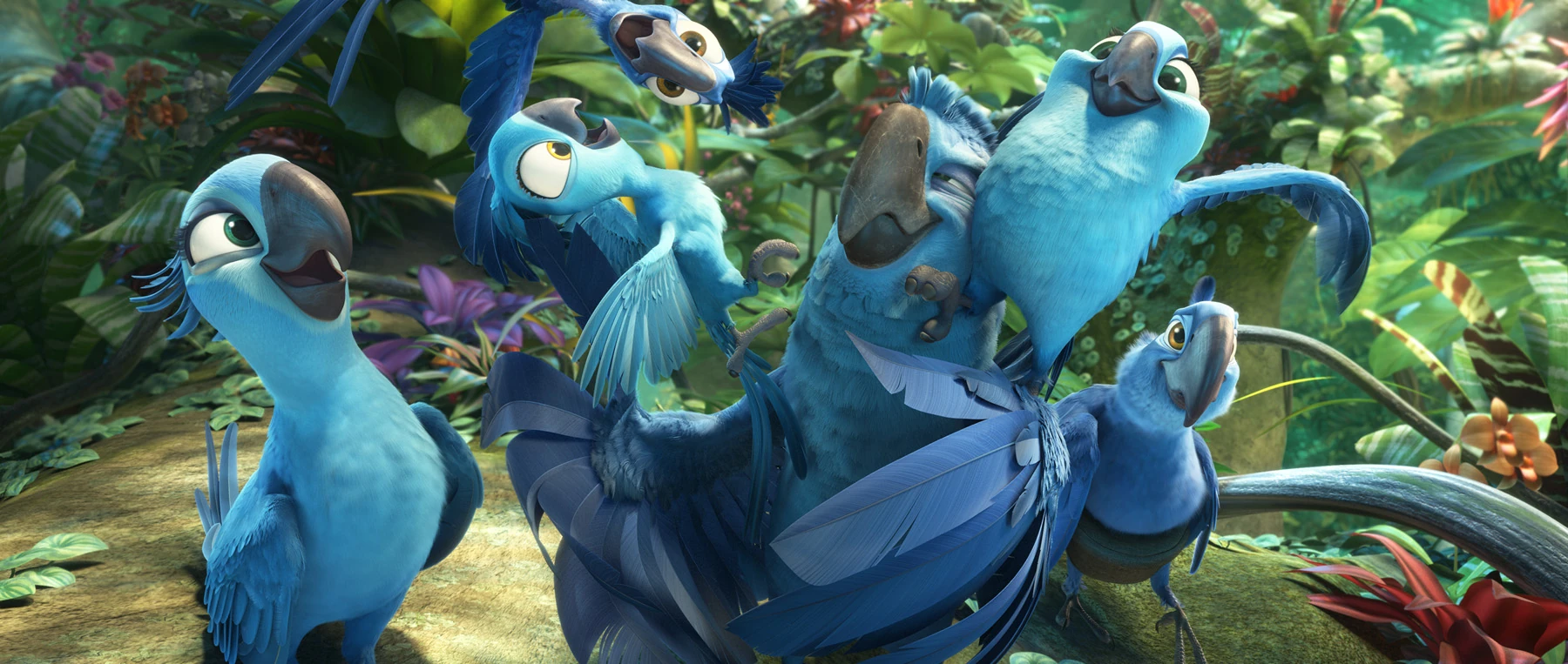 Obraz - Jewel-blu-eduardo-grandpa-tiago-bia-carla-in-RIO-2.jpg | Rio ...