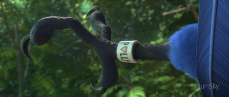 Rio 2 Deleted Scenes | Rio Wiki | FANDOM powered by Wikia
