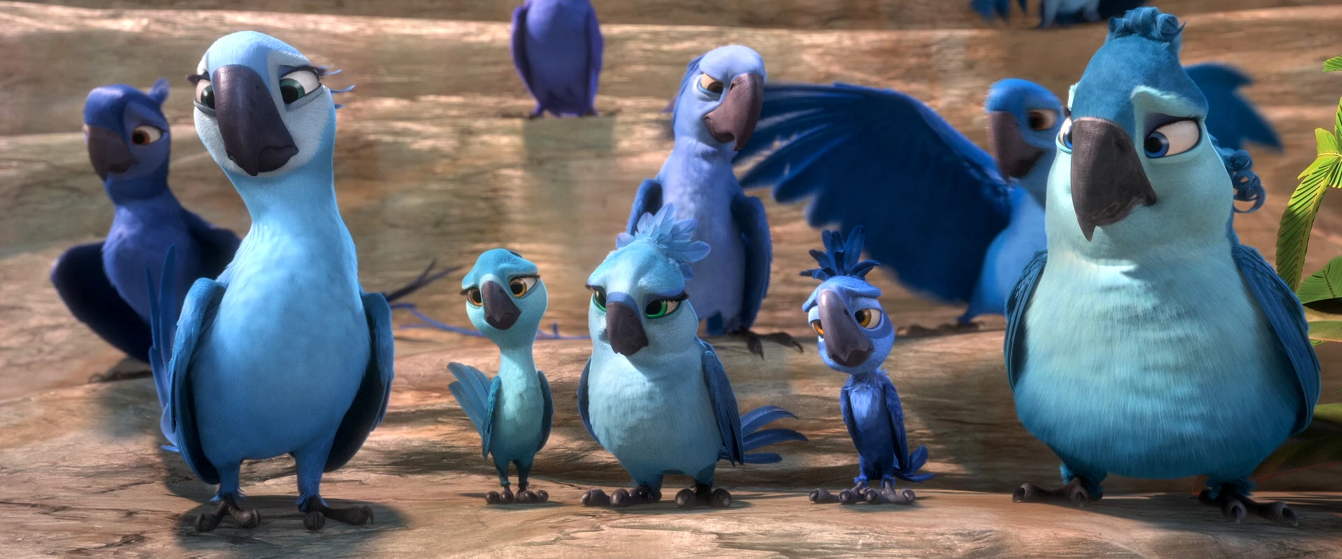 Image - Blu 100-Jewel 100 156.jpg | Rio Wiki | FANDOM powered by Wikia