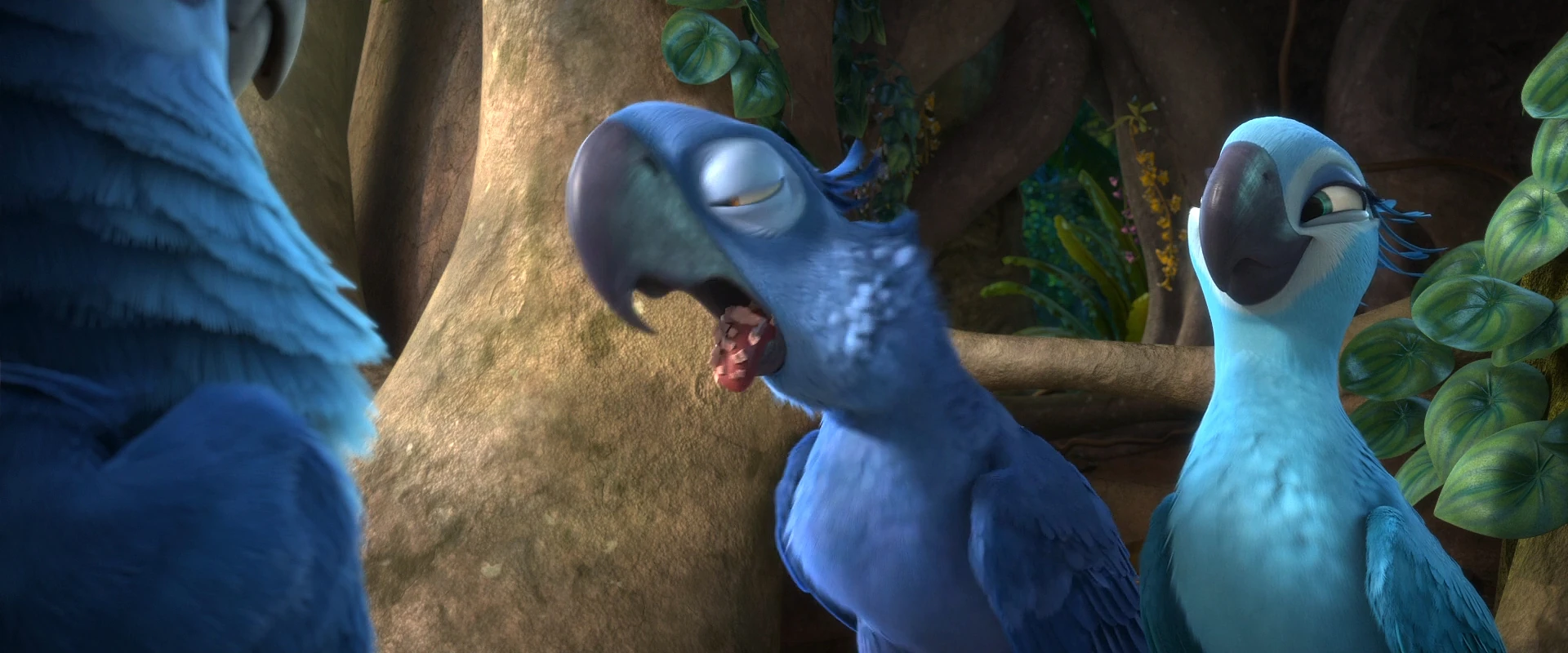 Image - Blu 100-Jewel 100 185.jpg | Rio Wiki | FANDOM powered by Wikia