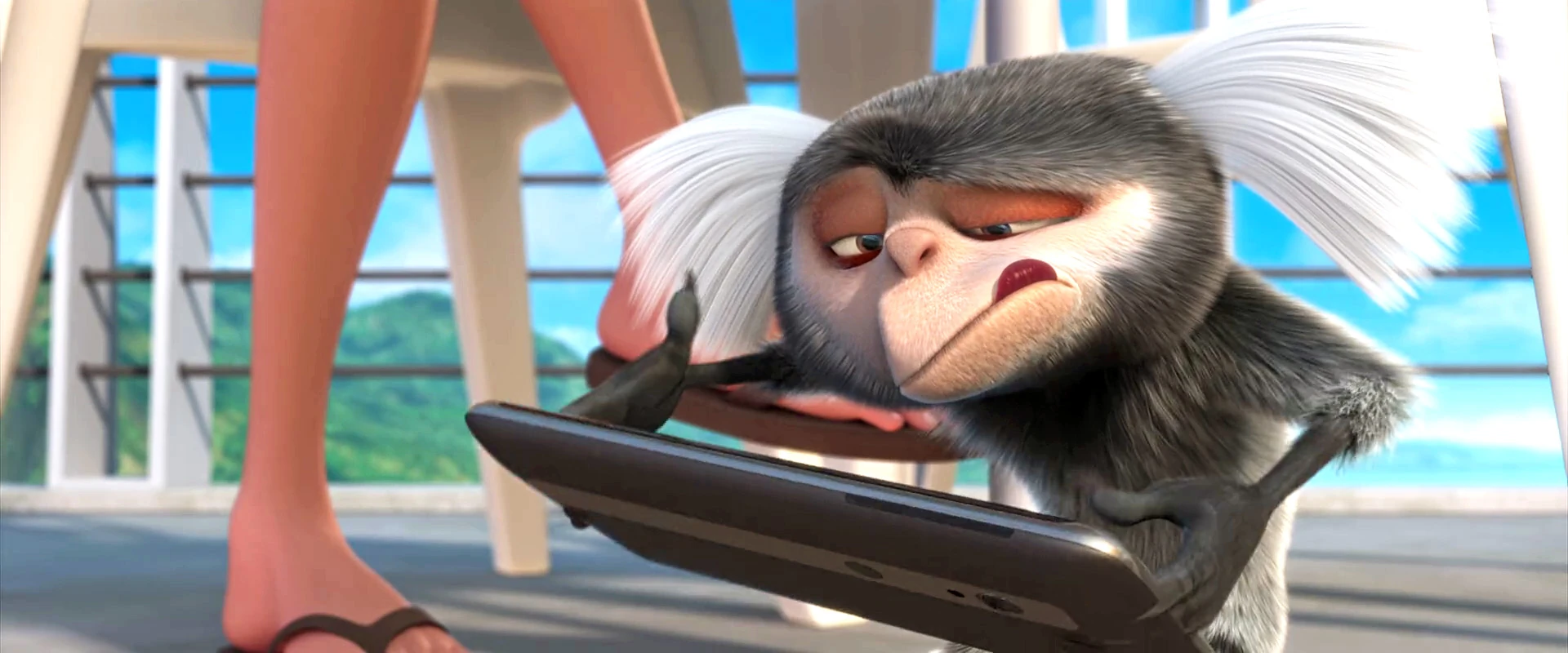 Image - Rio (movie) wallpaper - Sending Message to Mauro.jpg | Rio Wiki ...