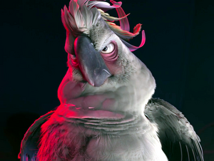 Sulphur-crested Cockatoo | Rio Wiki | FANDOM powered by Wikia
