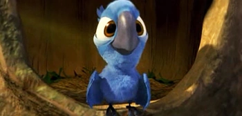 Imagen - Blu bebe.png | Wiki Río | FANDOM powered by Wikia