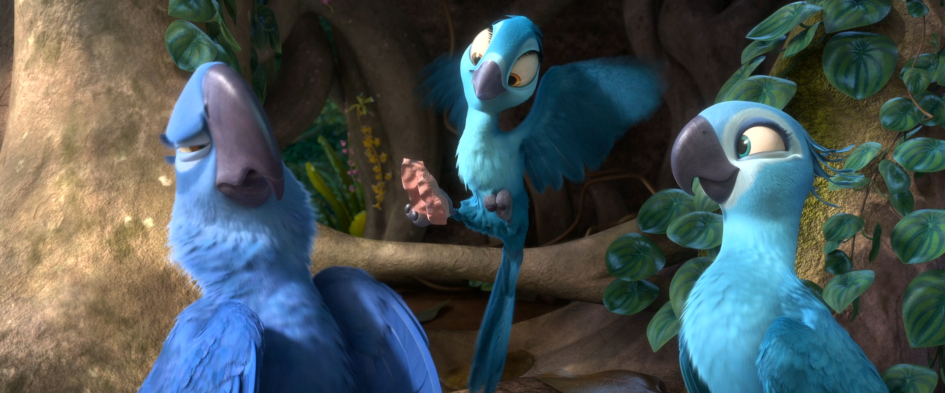 Image - Blu, Jewel and Bia.png | Rio Wiki | FANDOM powered by Wikia