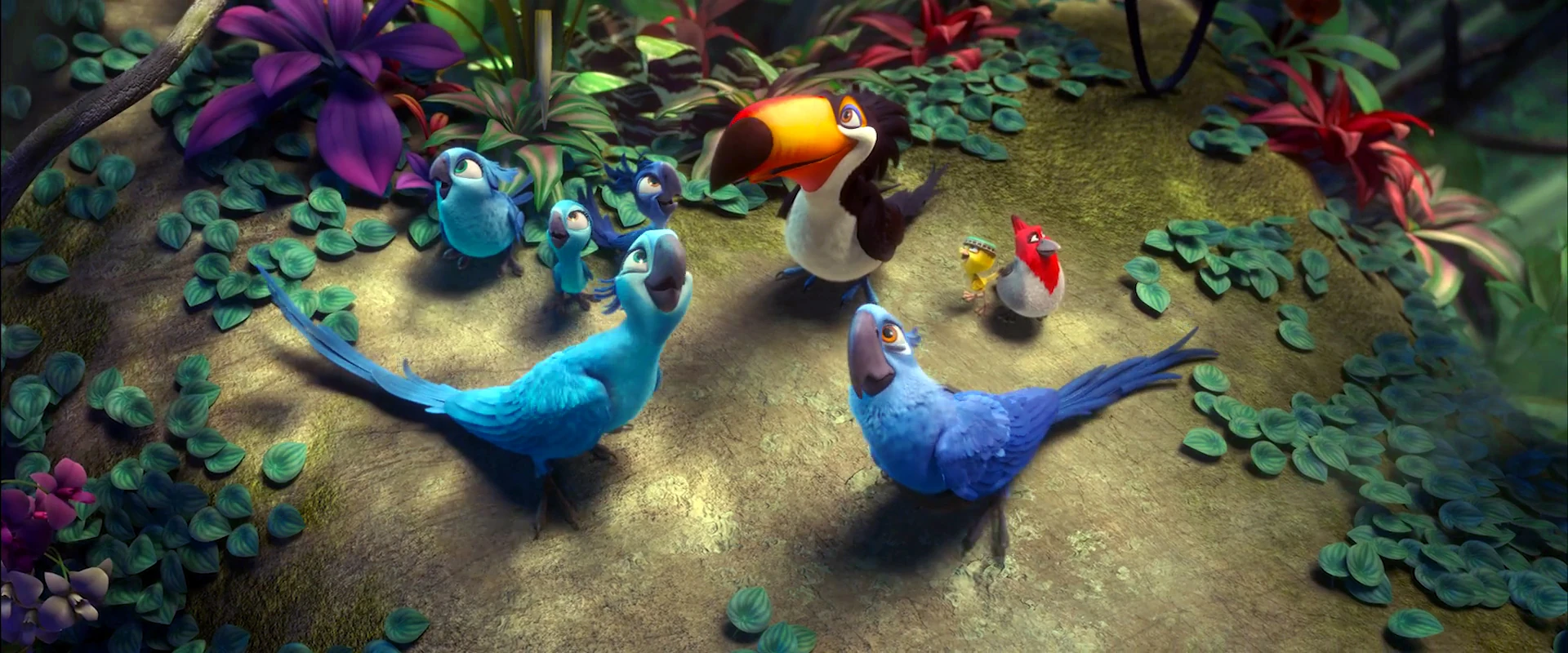 Image - Rio-2-Official-Trailer-3-37.jpg | Rio Wiki | FANDOM powered by ...