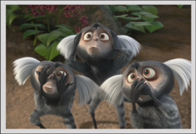 User blog:Emilioyo/Rio random fact no.2,5 & 3 | Rio Wiki | FANDOM ...