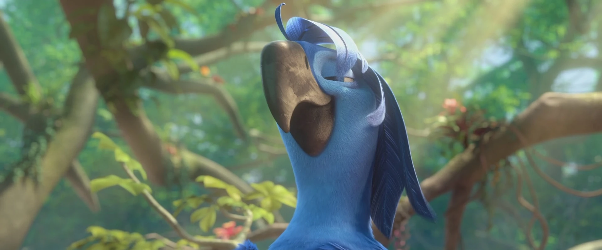 Image - 103817 005.jpg | Rio Wiki | FANDOM powered by Wikia