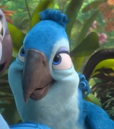 Mimi | Wiki Río | FANDOM powered by Wikia