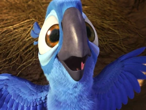 Blu | Rio Wiki | FANDOM powered by Wikia