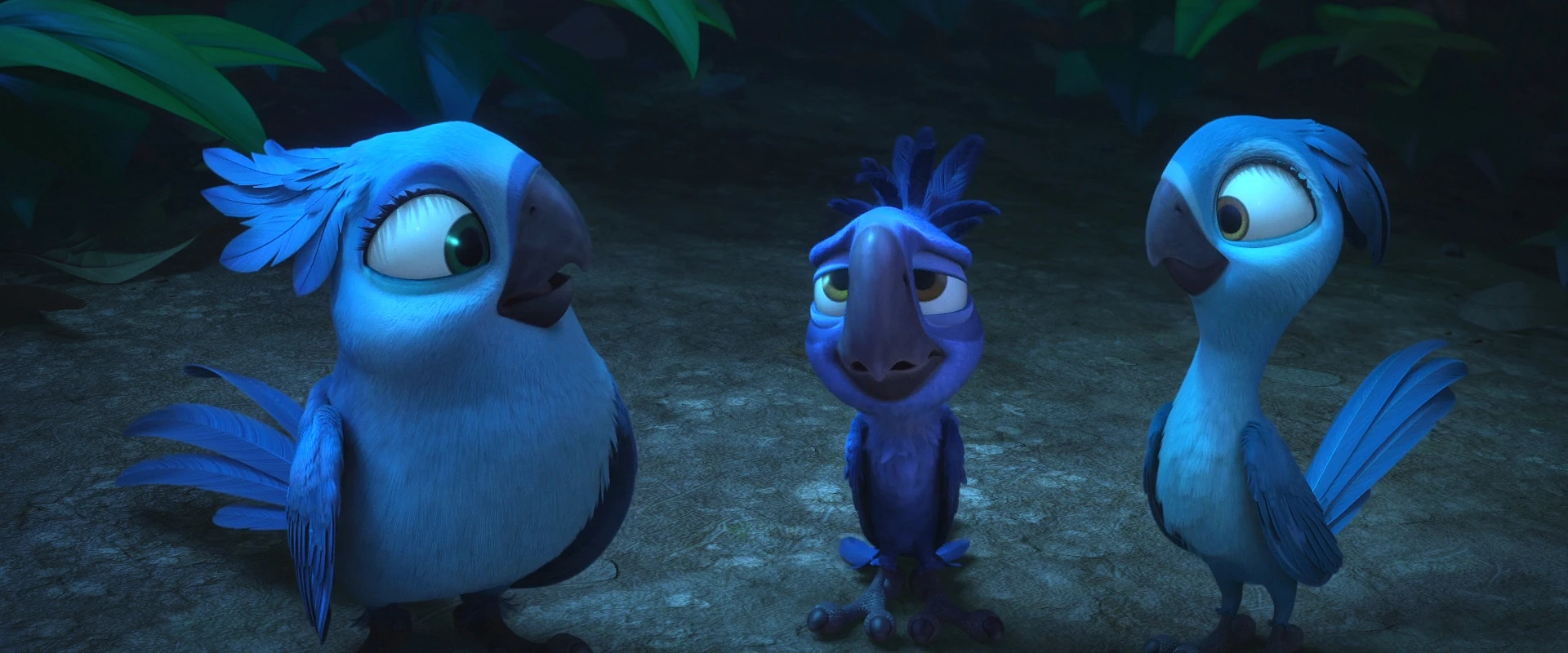 Image - Blu 100-Jewel 100 180.jpeg | Rio Wiki | FANDOM powered by Wikia