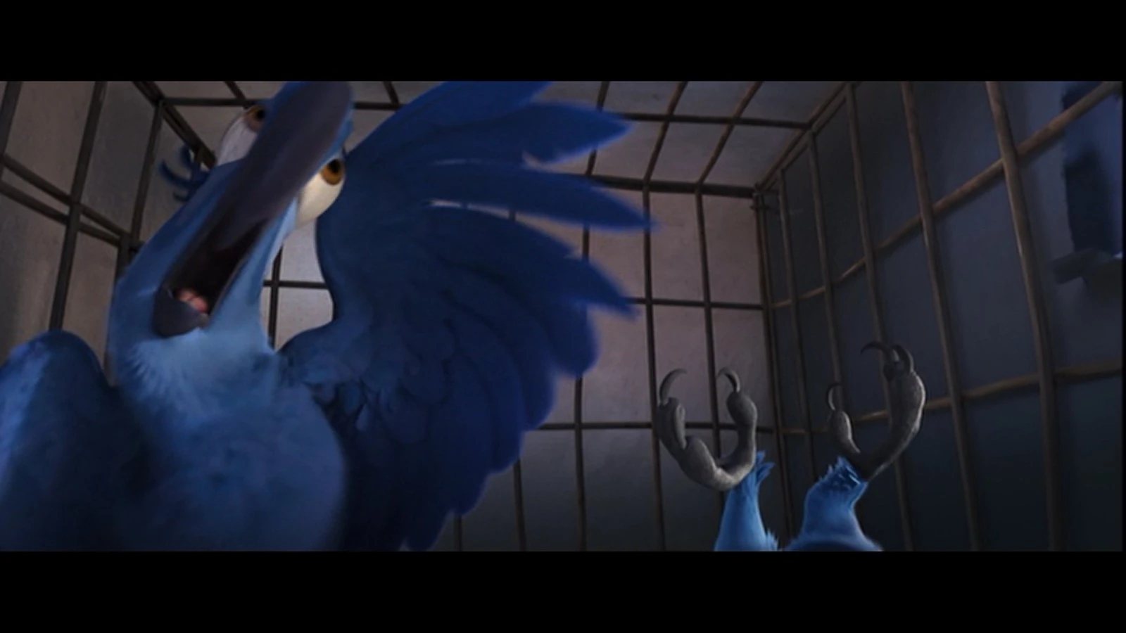 Bild - Blu and jewel in a cage 2.jpg | Rio Wiki | FANDOM powered by Wikia