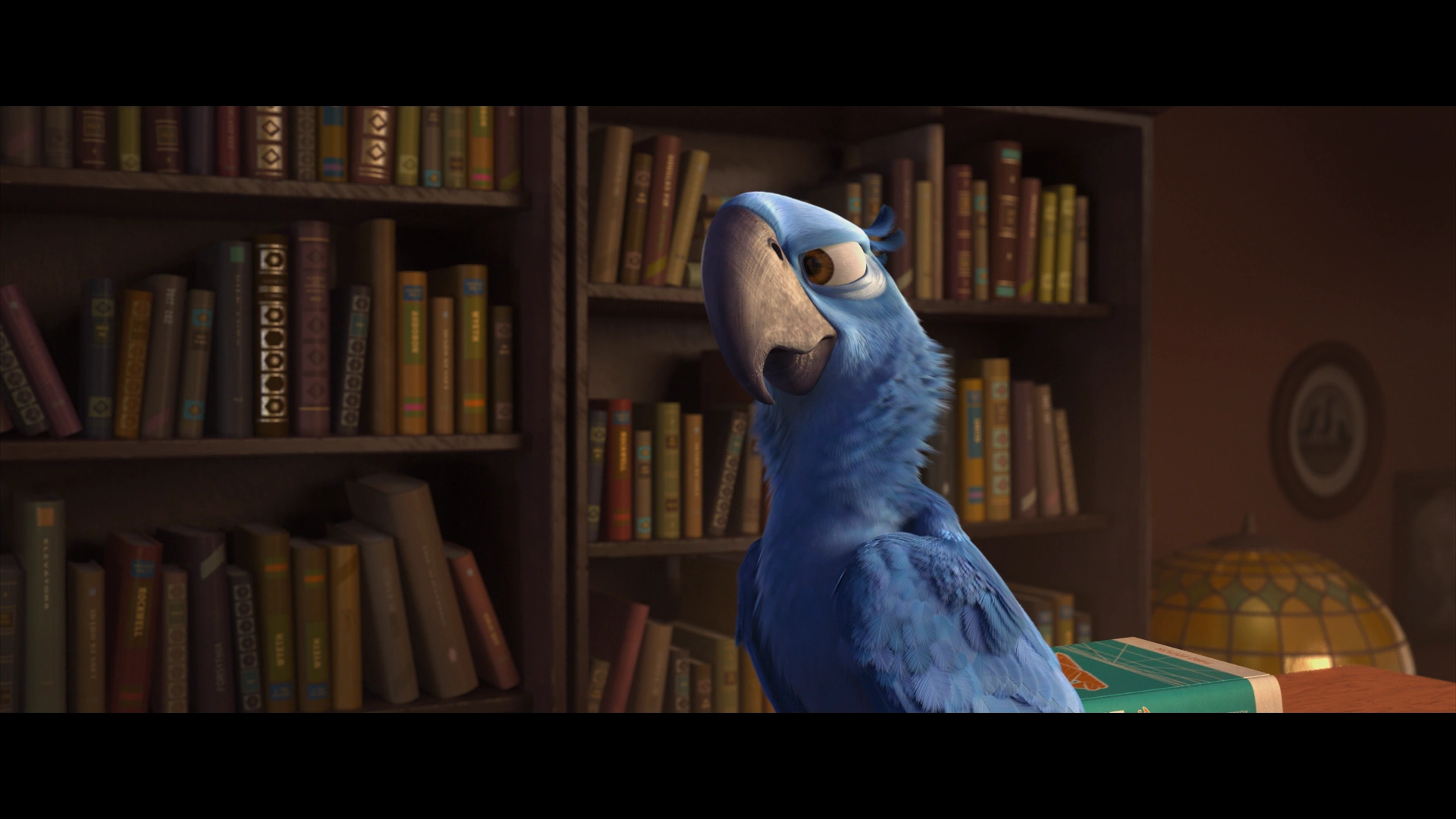 Image - Rio 17.png | Rio Wiki | FANDOM powered by Wikia