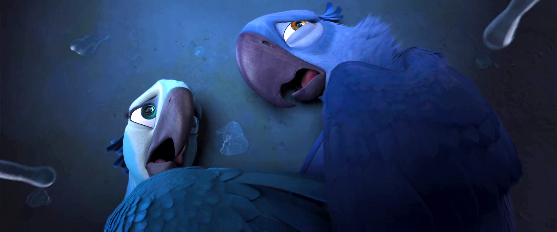 Image - Rio-rio-21532461-1023-548.jpg | Rio Wiki | FANDOM powered by Wikia