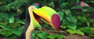 Toucan Family | Rio Wiki | FANDOM powered by Wikia