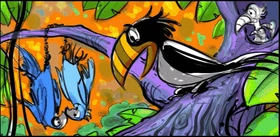 Rio | Rio Wiki | Fandom