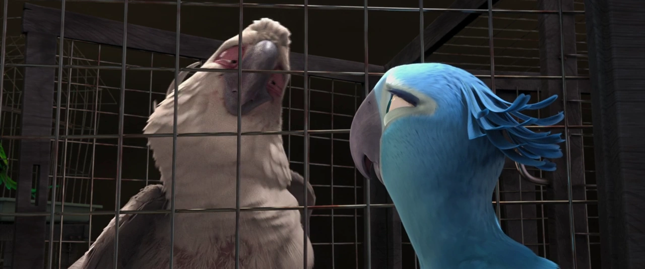 Image - Rio-pics-rio-23789855-1280-534.png | Rio Wiki | FANDOM powered ...