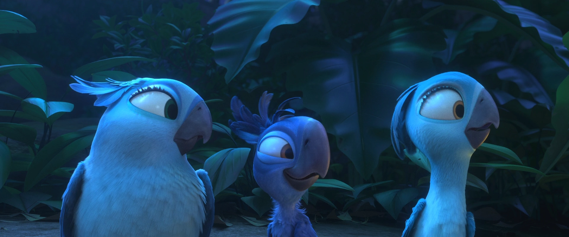 Image - Blu 100-Jewel 100 91.png | Rio Wiki | FANDOM powered by Wikia