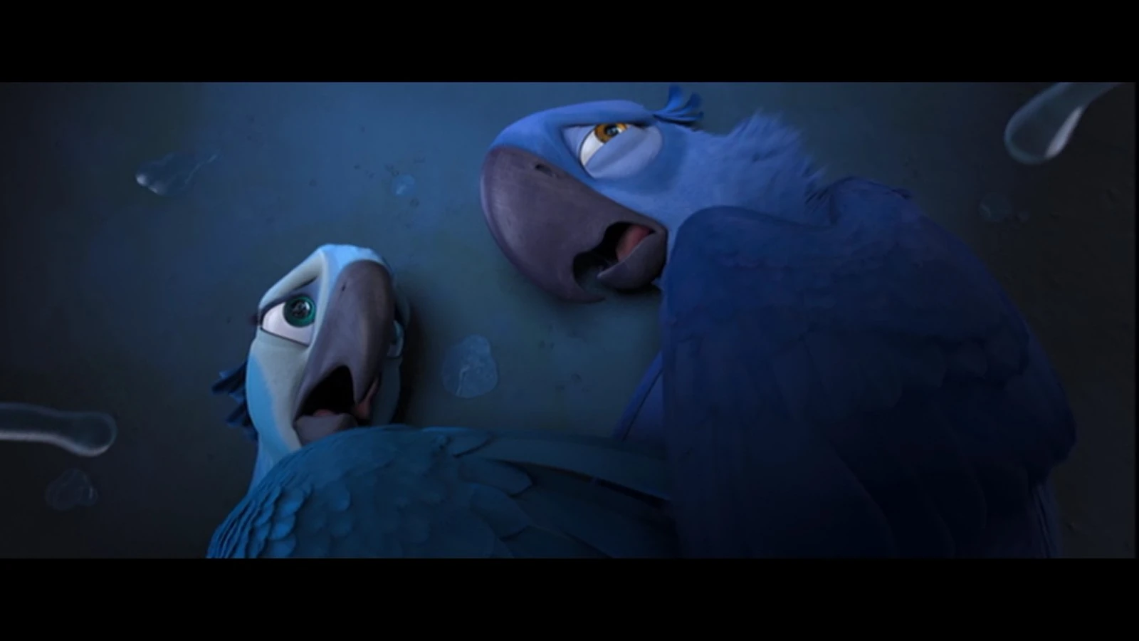 35 best ideas for coloring | Blu And Jewel