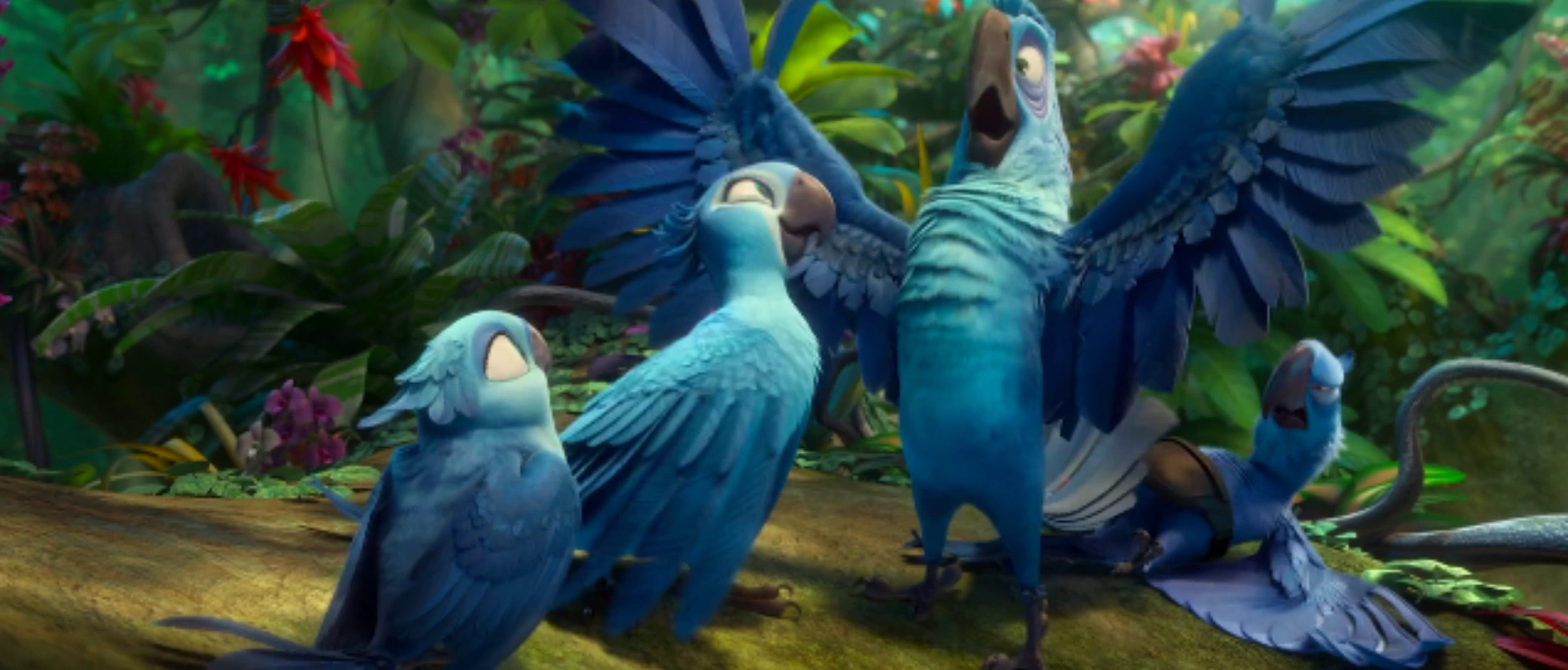 Image - Vlcsnap-2013-10-02-13h24m48s3.png | Rio Wiki | FANDOM powered ...