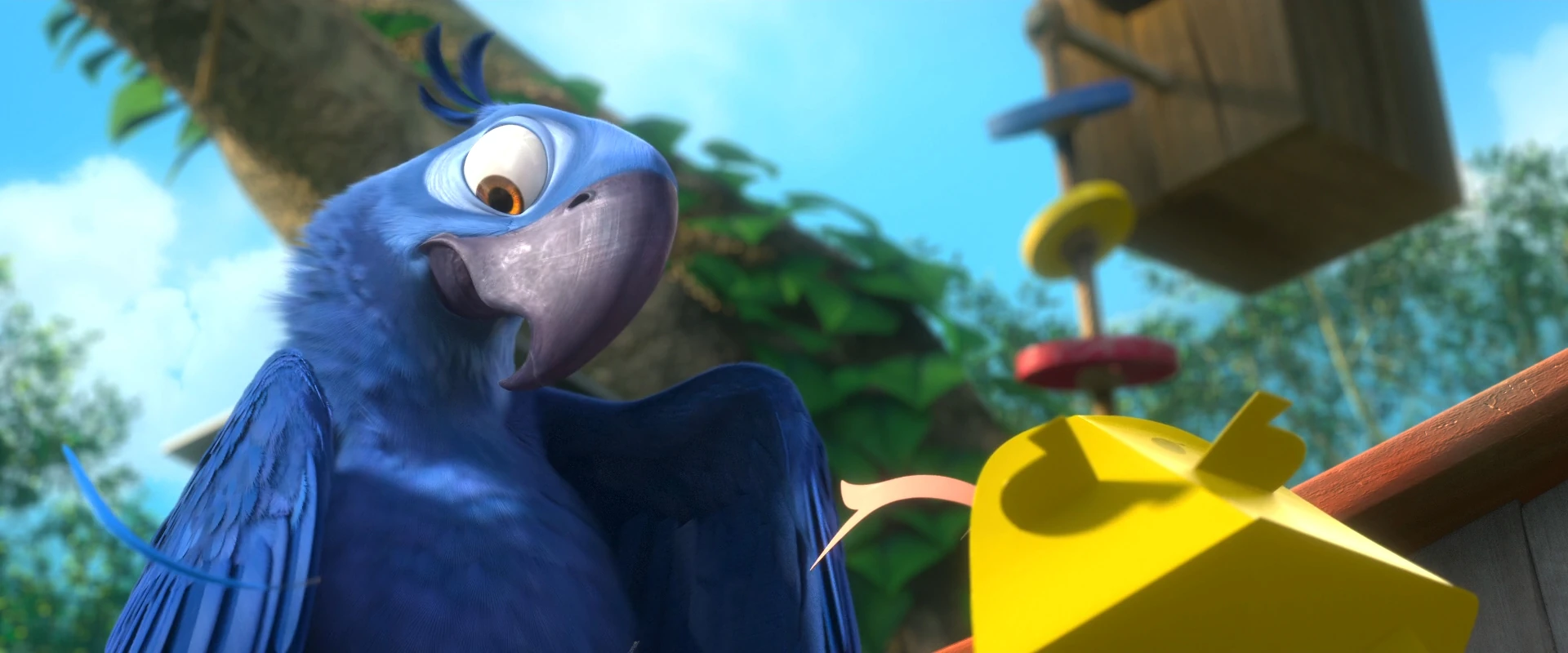 Image - Blu 100-Jewel 100 118.jpg | Rio Wiki | FANDOM powered by Wikia