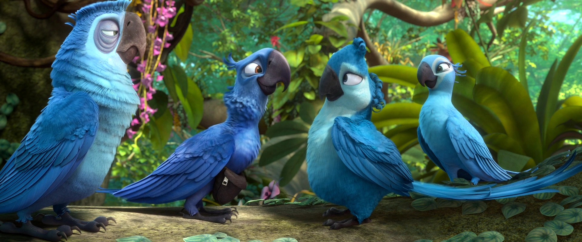 Image - Blu meets Mimi.png | Rio Wiki | FANDOM powered by Wikia