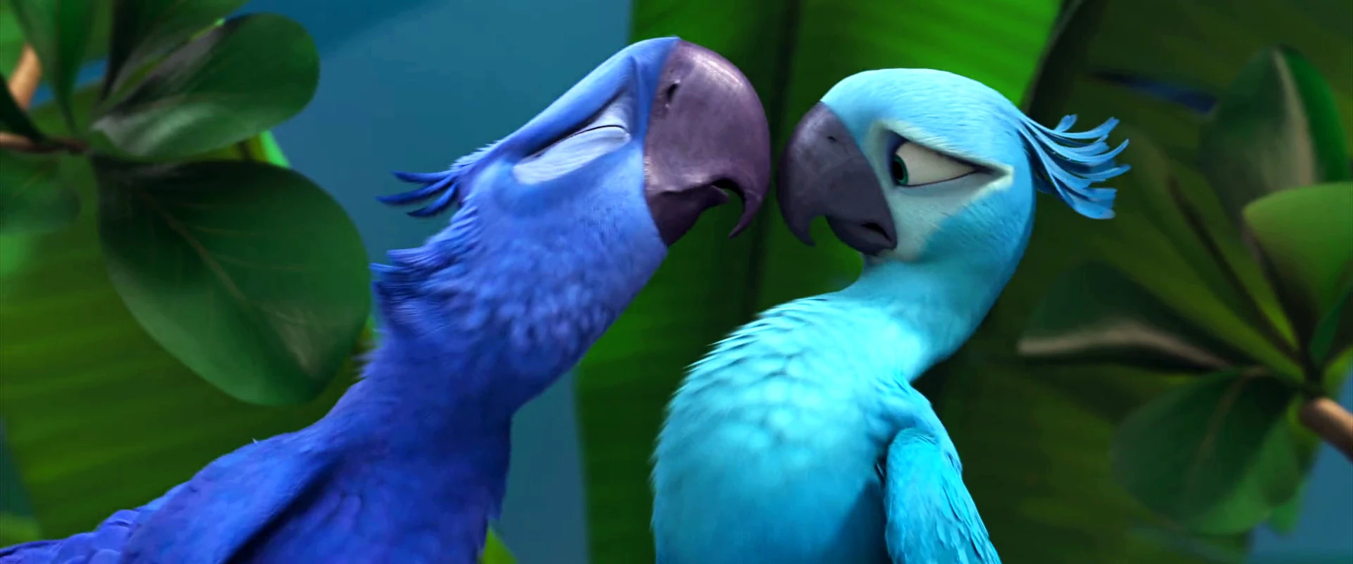 Image - Mainpage BluandJewel6.jpg | Rio Wiki | FANDOM powered by Wikia