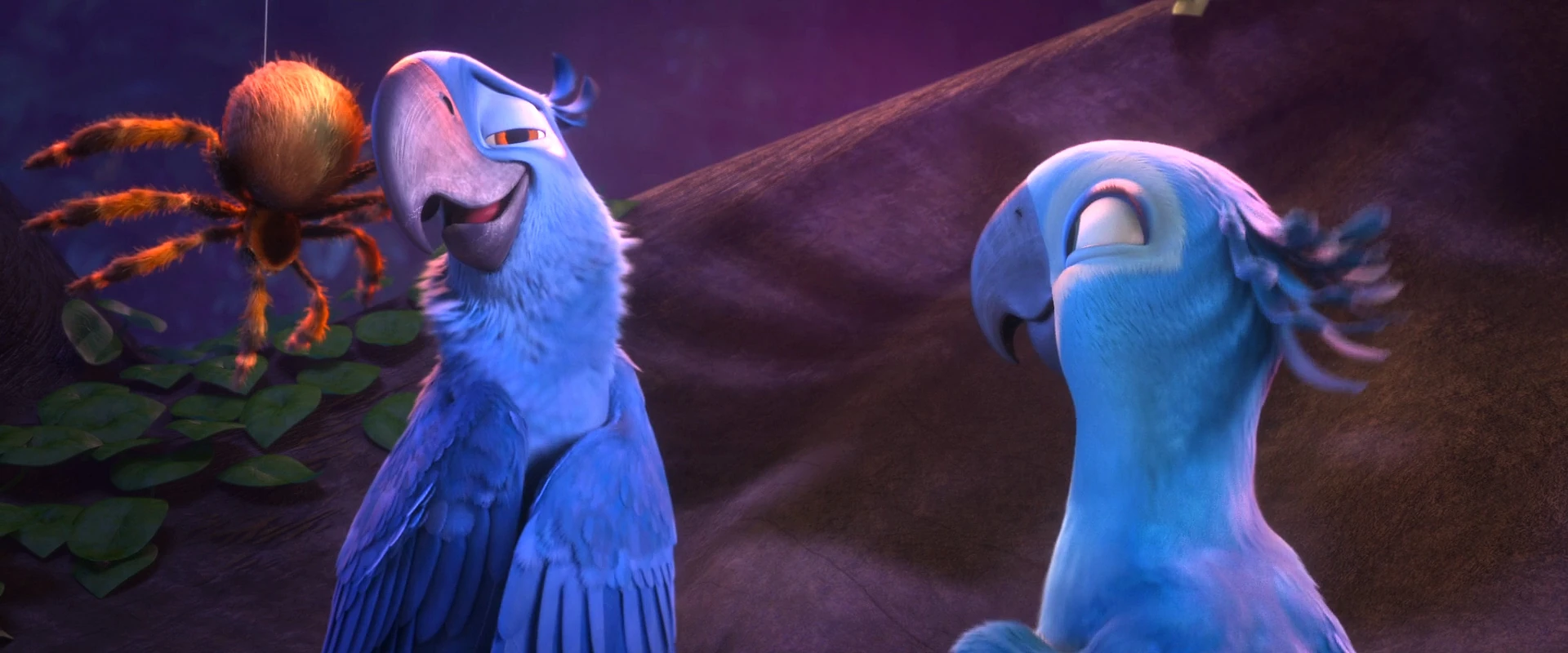 Image - Rio 2 spider.jpg | Rio Wiki | FANDOM powered by Wikia