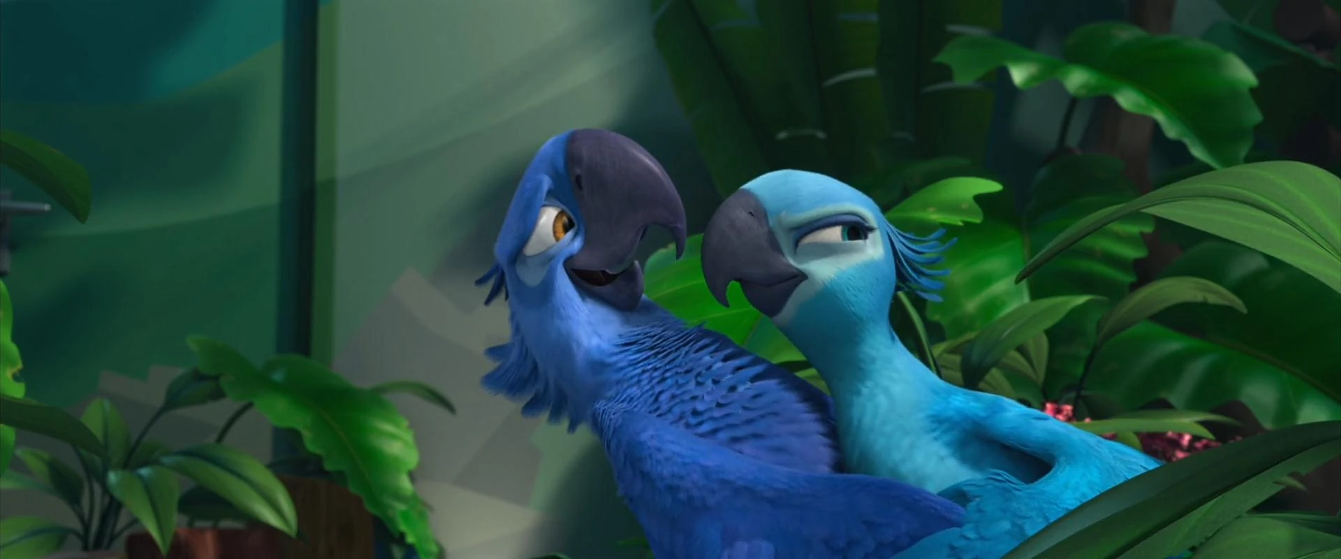 Imagem - Jade e Blu1.jpg | Rio Wiki | FANDOM powered by Wikia