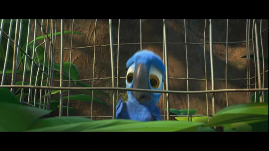 Kategoria:Postacie z filmu Rio 2 | Rio Wiki | Fandom