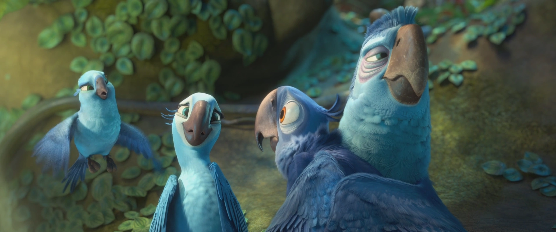 Image - Mom are you okay.png | Rio Wiki | FANDOM powered by Wikia