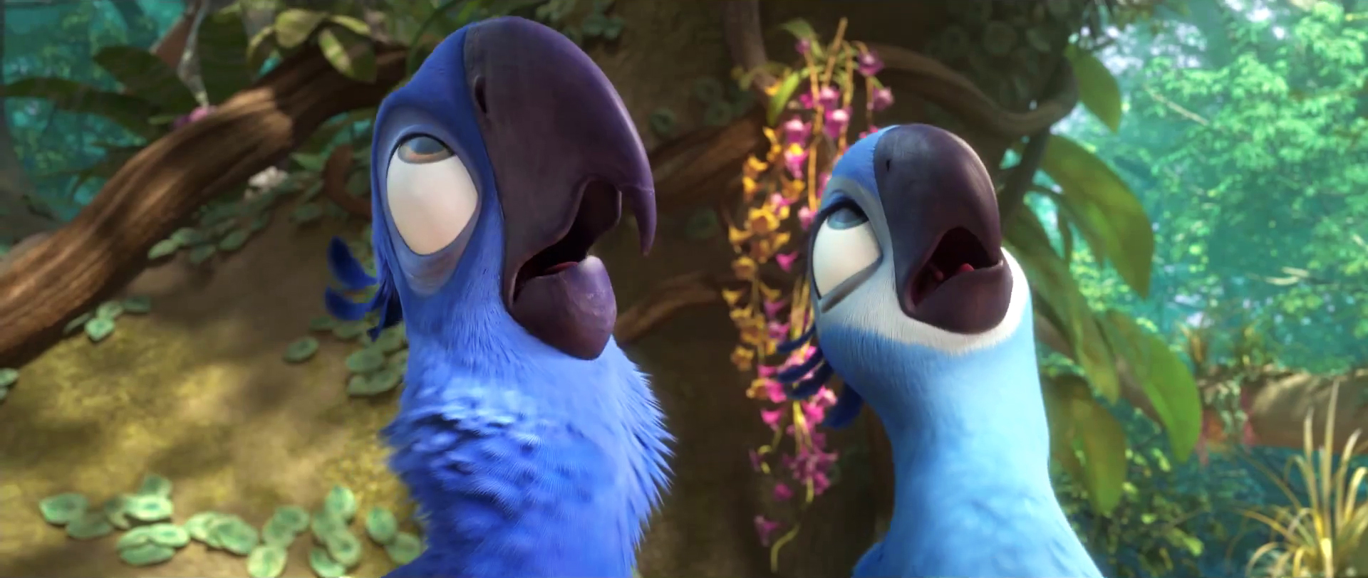 Obraz Blu And Jewel Starring Up Blu Julia Scena Rio 2 Rio Wiki Fandom Powered By Wikia