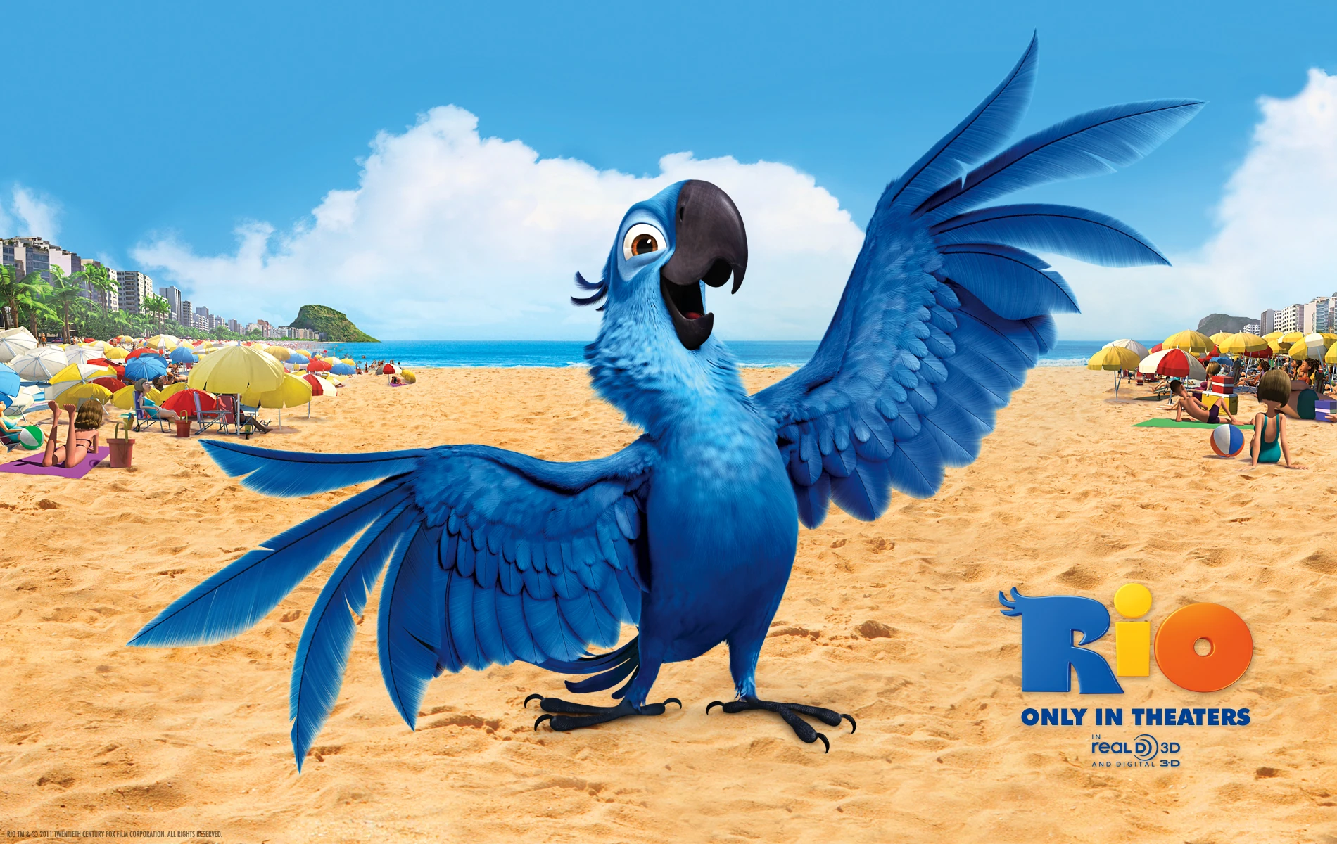Spix's Macaw Family/Gallery | Rio Wiki | FANDOM powered by Wikia
